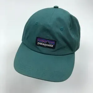 Patagonia | Accessories | Patagonia P6 Label Trad Cap Mens Teal Green ...